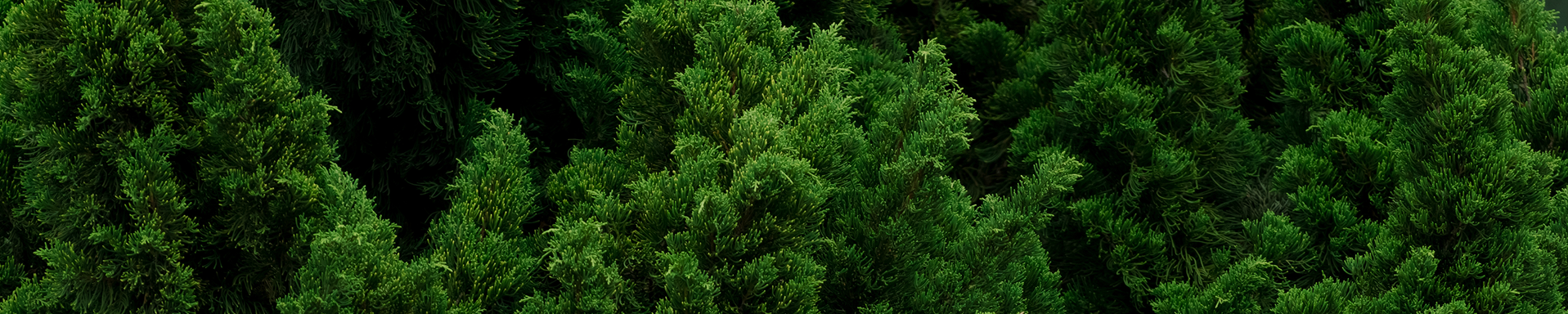 Environmental Impairment Liability & Petroleum Storage Tanks - Freberg Environmental