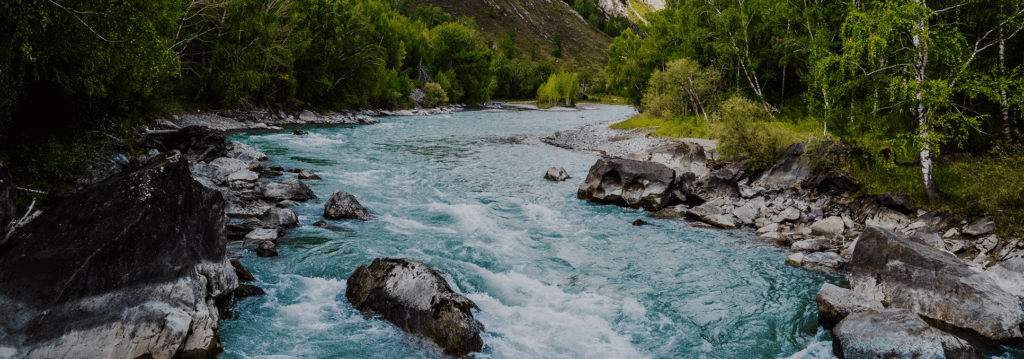 Our Programs - Freberg Environmental